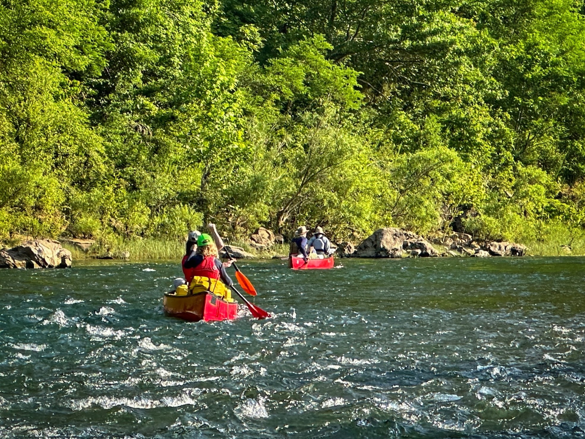 50 Years and 50 Milers - A Buffalo River Story - Pack and Paddle